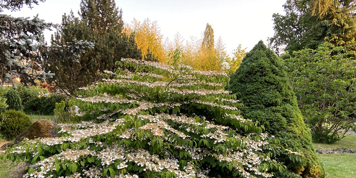 Enchanting Reads from Substack in August 2023