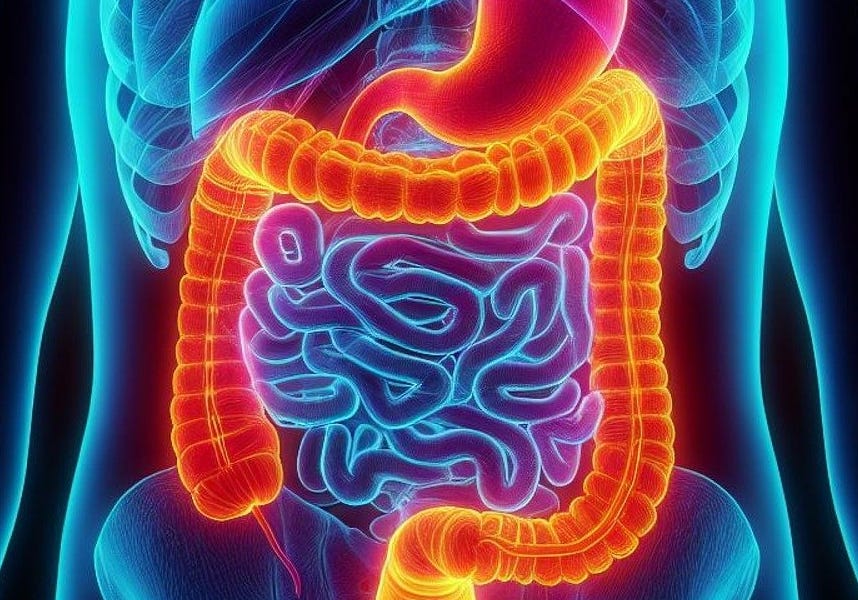 Our Aging Digestive System - by Sue Kusch