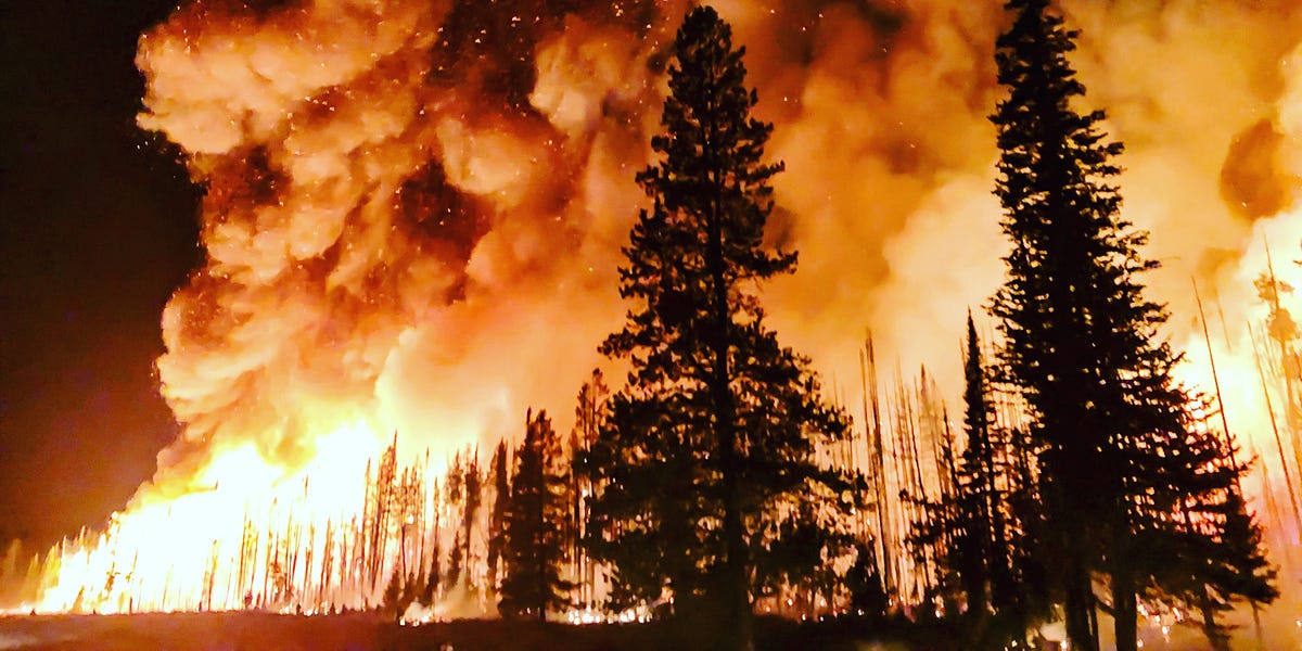 Wildfire Prevention: 5 Powerful Strategies to Protect Our Communities ...