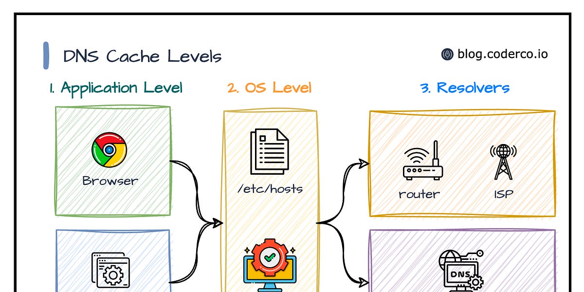DNS Cache Levels: An Overview - by Coder Co - CoderCo