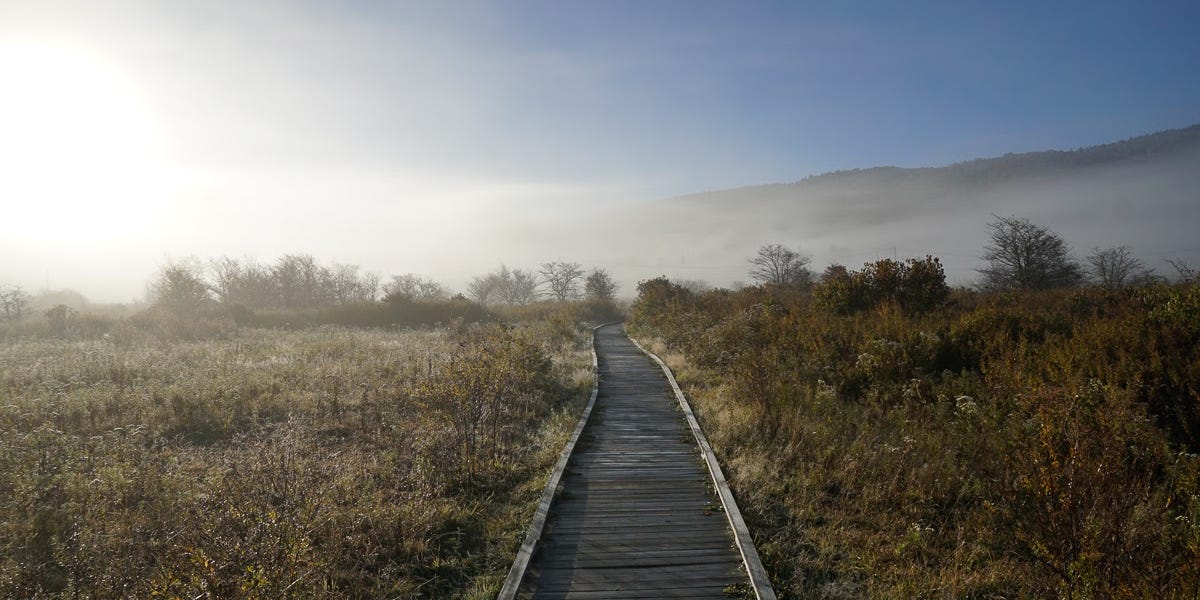 12 Capacities - by Sky Kershner - Sky’s Everyday Unity Blog