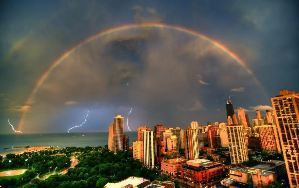 Rainbow Blight (4 of 4) - by Mark Bisone