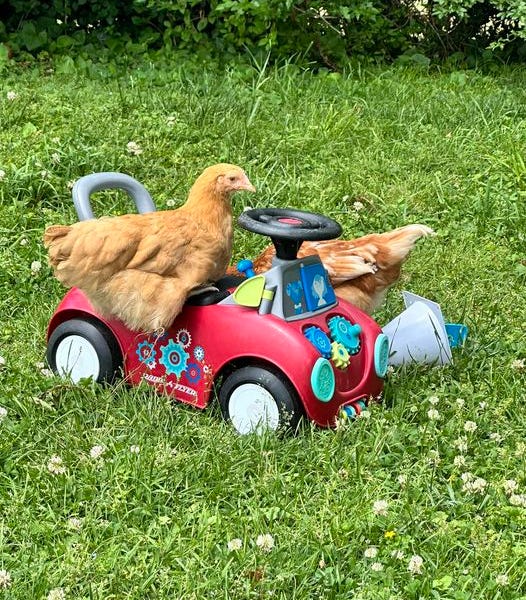 Pulling Through - by Emily Zanotti