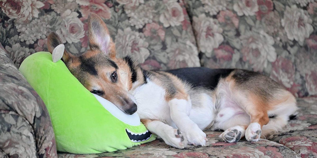 Fixing the Past - by Mette Marie Ivie