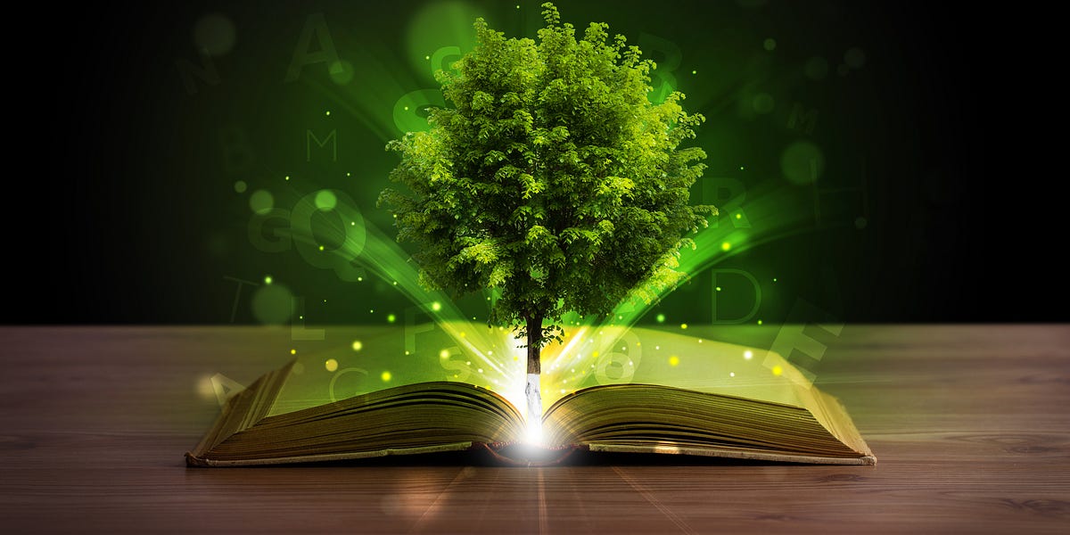 Perceptions are Reflections - by Darby Lee Patterson