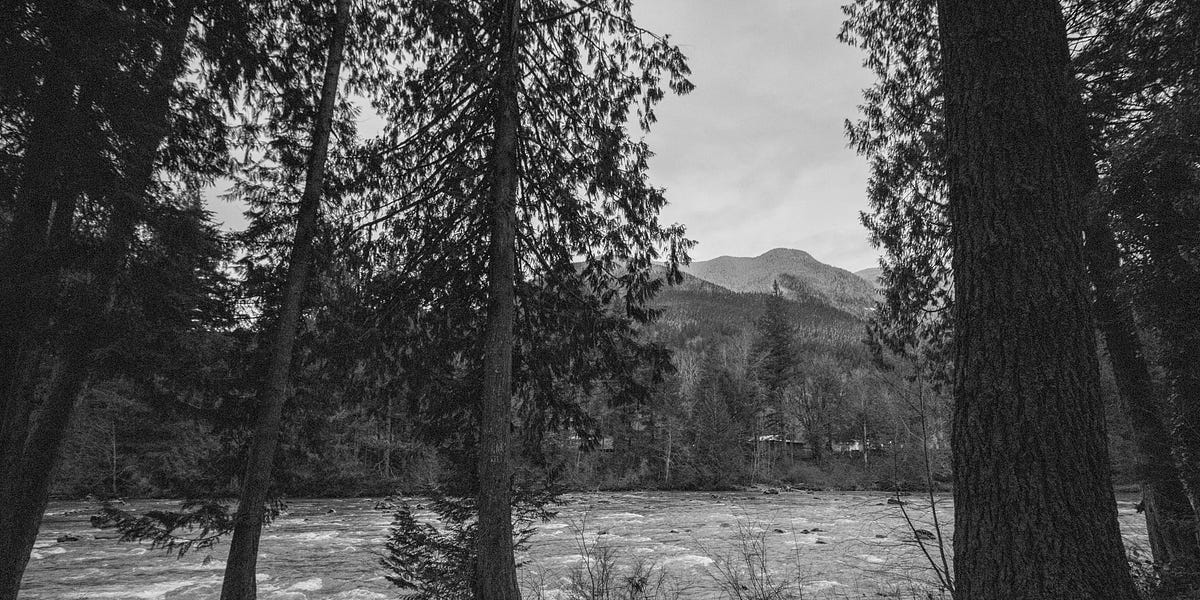 Going...Going...Back...Back to Twin Peaks - by JB Minton 📺