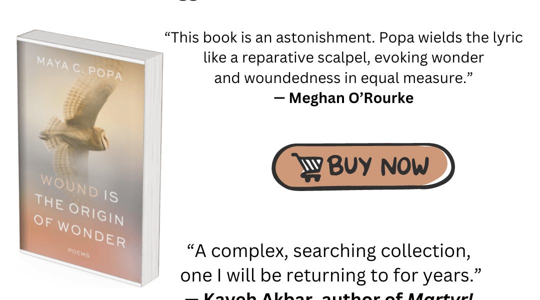 Wound is the Origin of Wonder - by Maya C. Popa