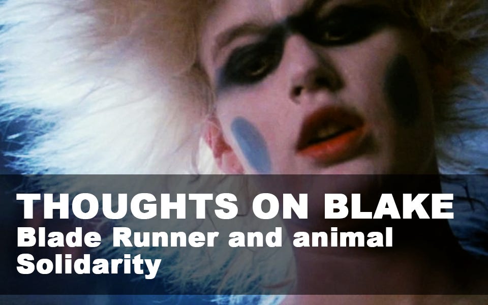 Thoughts on Blake, Blade Runner and Animal Solidarity