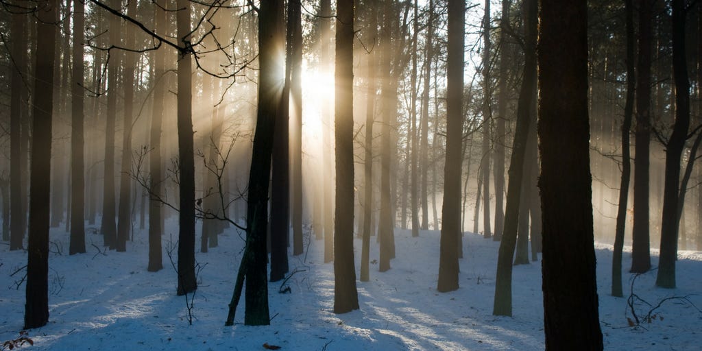 Wake the &*%# up and start dreaming - Rampersand VC