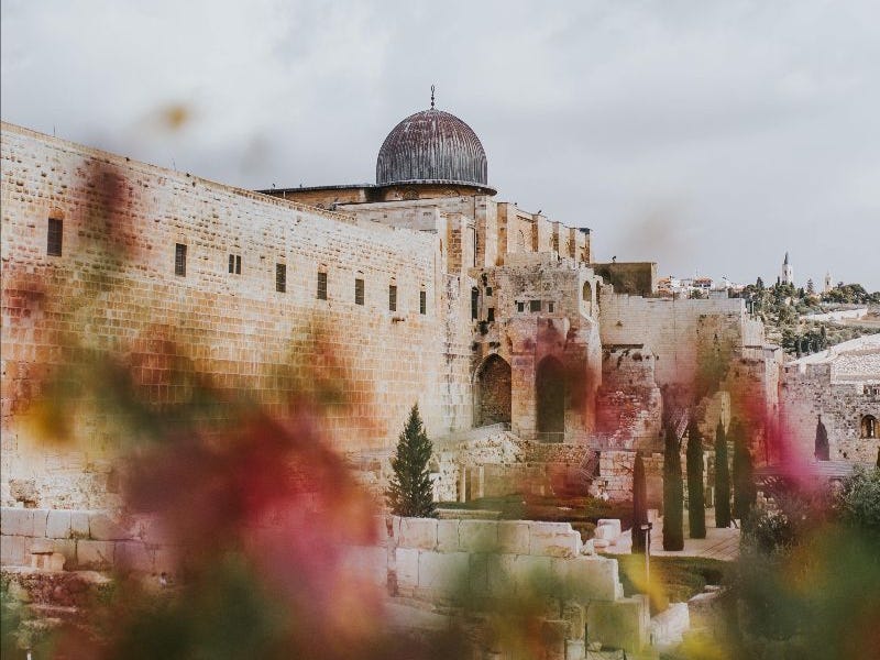 On 'Performative Allyship', Peace And Palestine