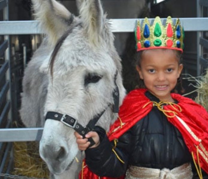 Get Ready for Gladstone's Animal Nativity