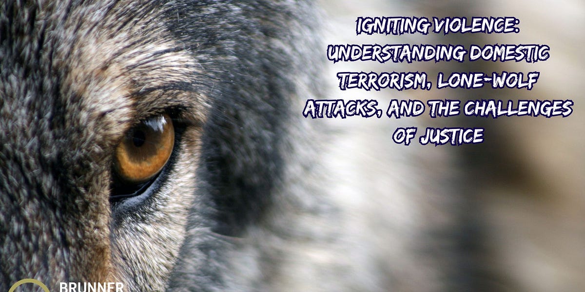 Igniting Violence: Understanding Domestic Terrorism, Lone-Wolf Attacks ...