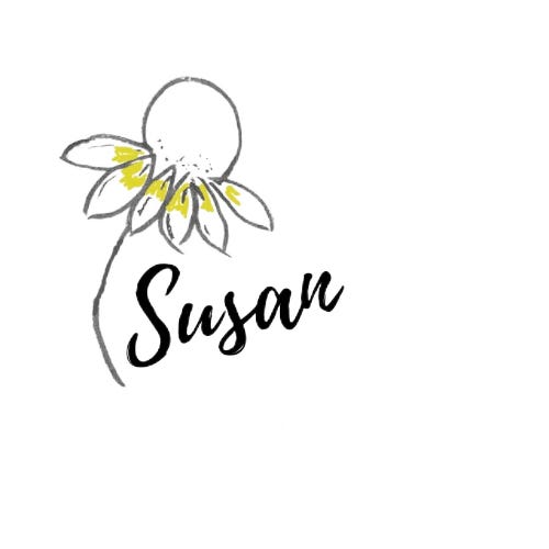 Happy New Year! - by Susan Drew - Susan’s Substack