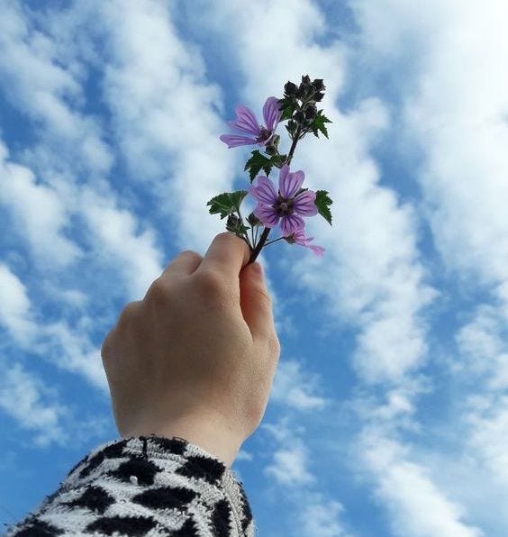 ¿"Rompan y quemen todo"? - by Annie Elizondo