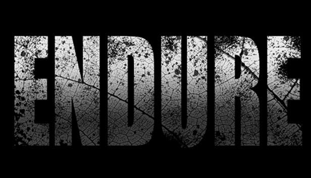 Endure to the End - LOADESTONE Inspiration