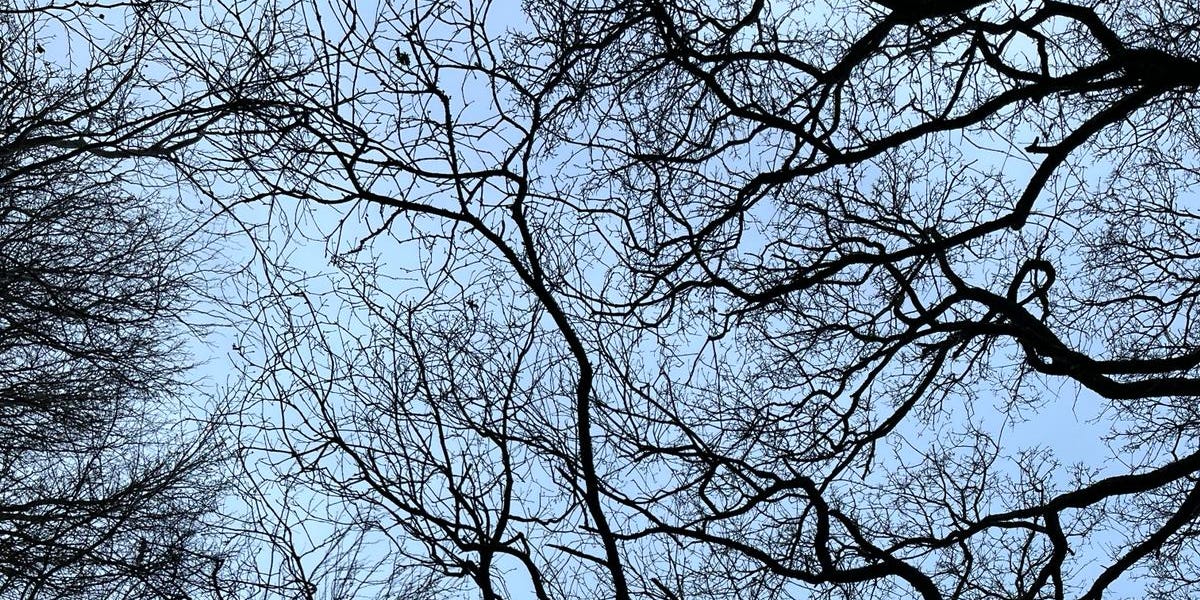 Sunbeams - Gemma’s Substack