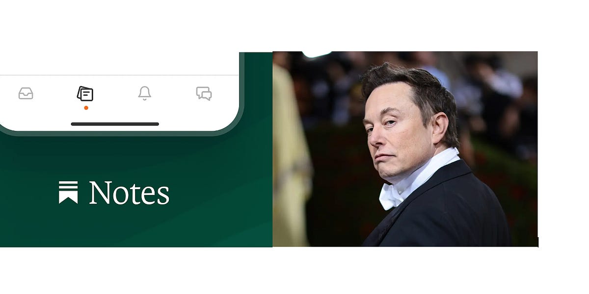 Substack vs. Twitter - The Rational Walk