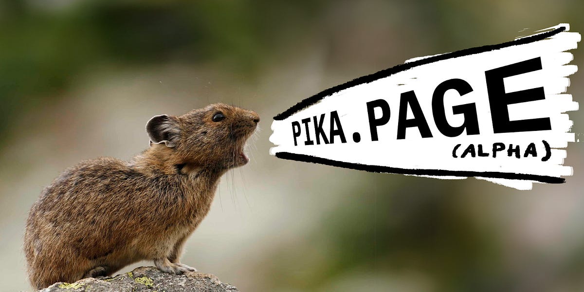 Season 3, Issue 29: Pika Party 🎉