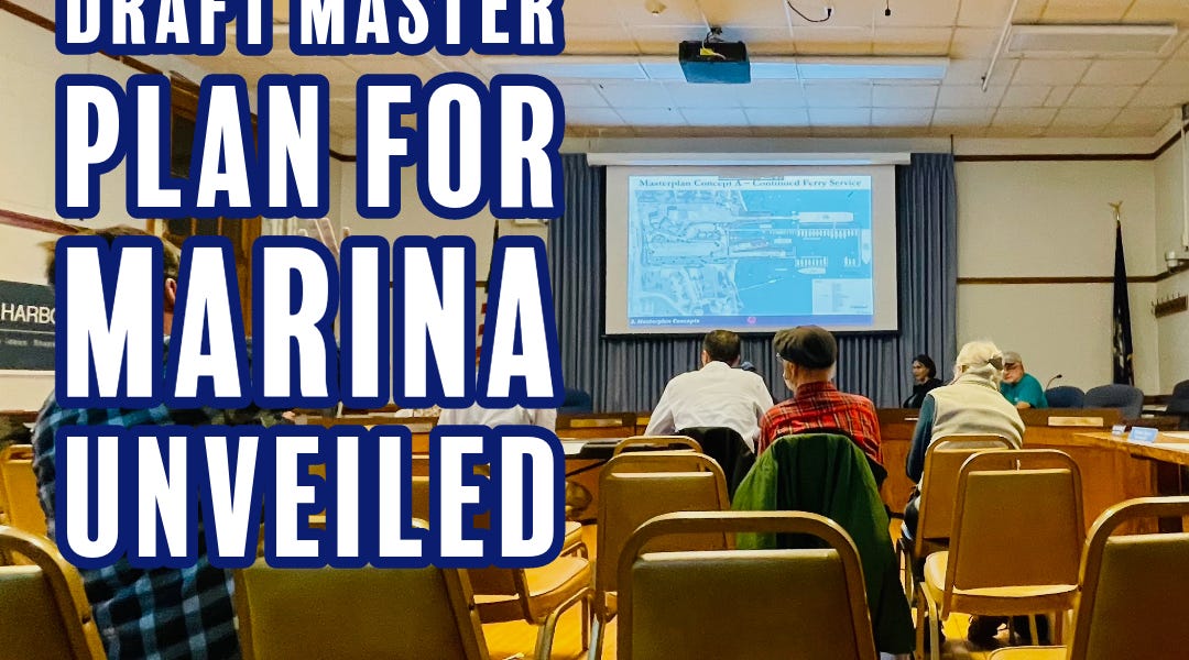 Draft Master Plan for Marina Unveiled - by Carrie Jones