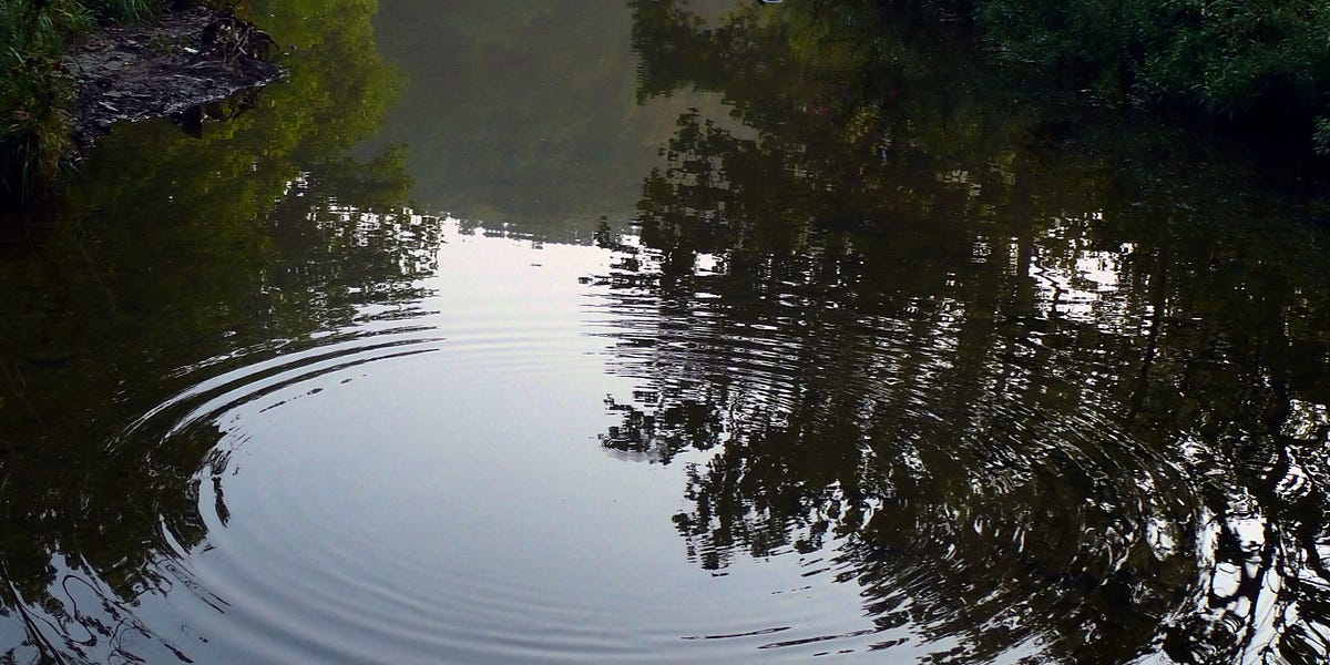 Early Solitude - by j.e. moyer, LPC