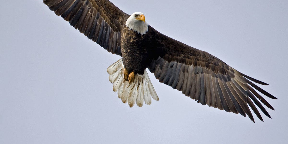 Getting Hope and Strength from God - by Anna Blaszczyk