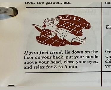 Trad-wives and Treadmills - by Marissa Franks Burt