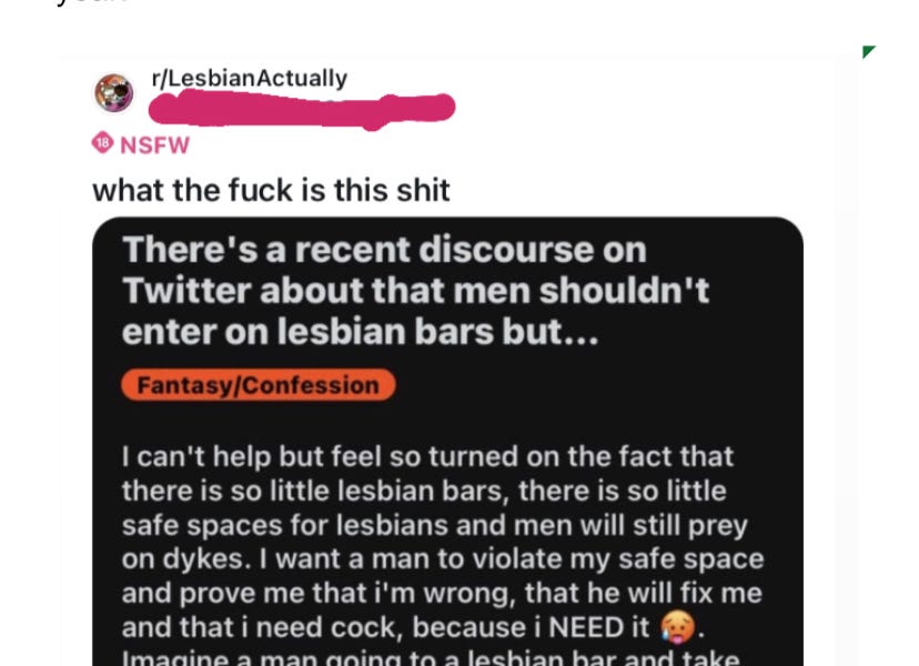 The Unspeakable Evil of '/r/dykeconversion' - by Sue Donym