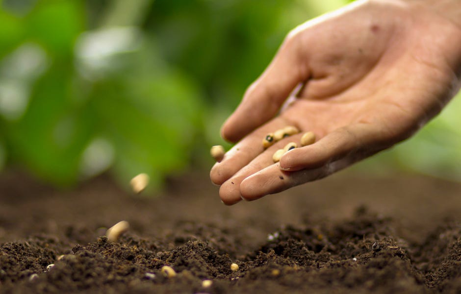 Si Quieres Cosechar Tienes Que Sembrar By Sergio Sosa