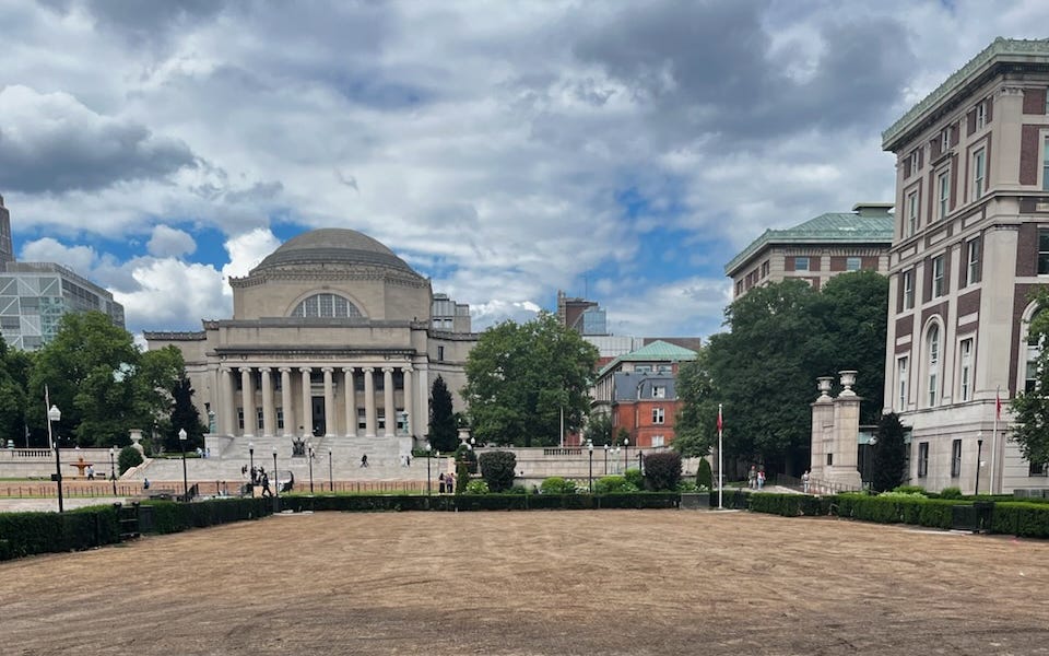 Liberated Zone VII - by Alistair Kitchen - Kitchen Counter