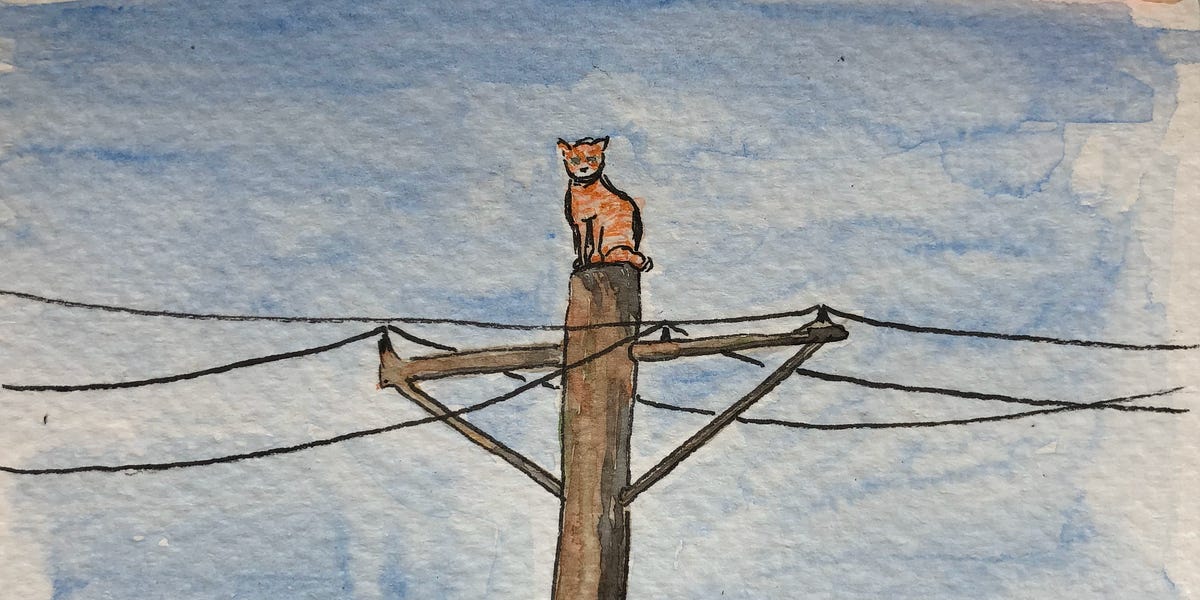 Galaxy Cat - lindercote’s Substack