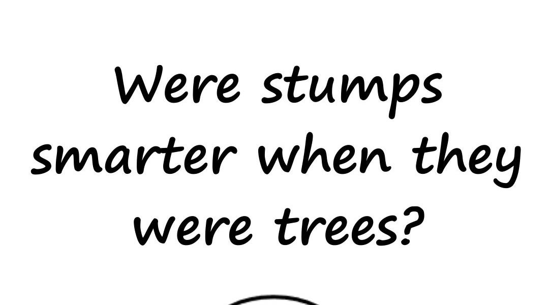 Dumb as a stump - Notice This, Notice That. By: Pat P