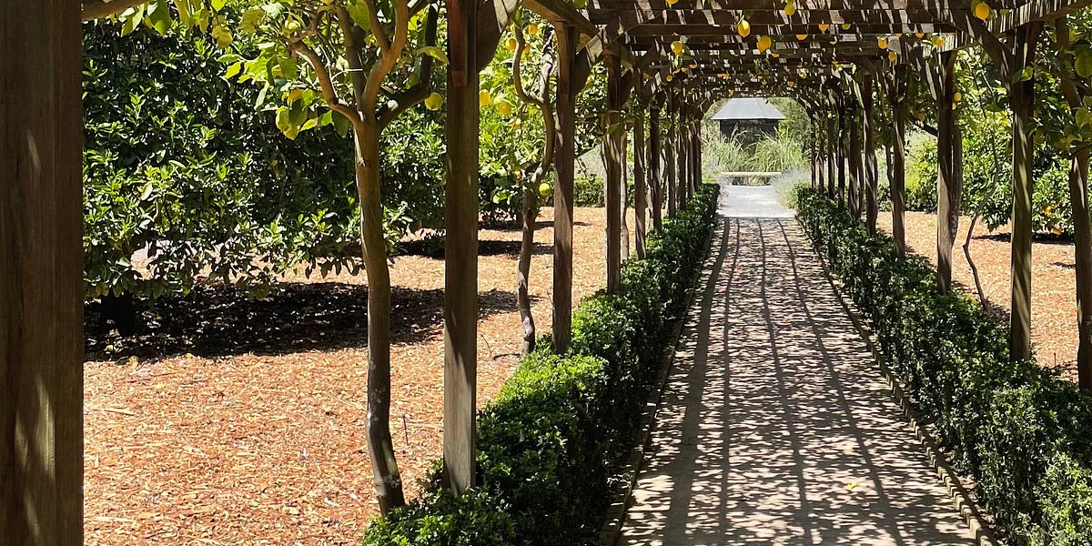 Oh, There You Are - by Missy Stevens - Dirtbag Drivel