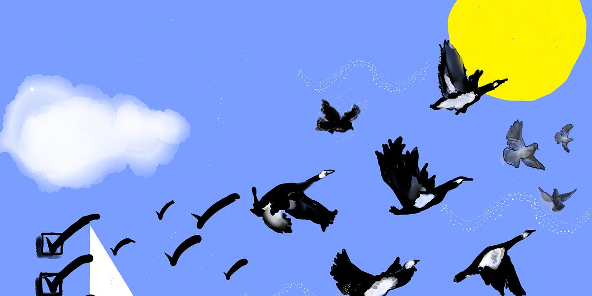 What Makes a Great School? - by Dr. Jane R. Shore