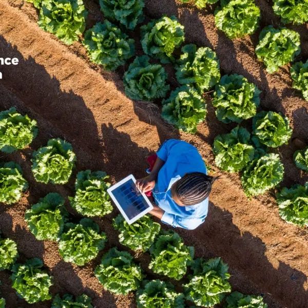 Feeding 8 Billion People Has Never Been Easier - Discourse