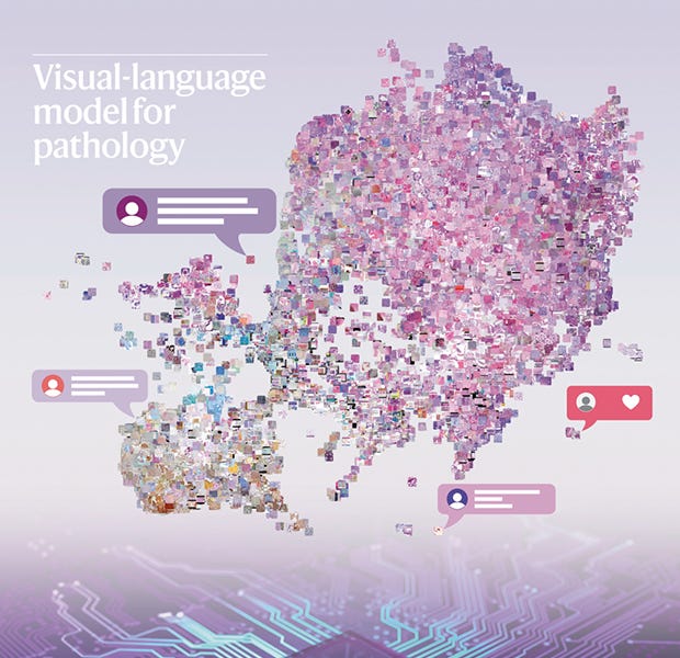 James Zou: one of the most prolific and creative A.I. researchers in ...