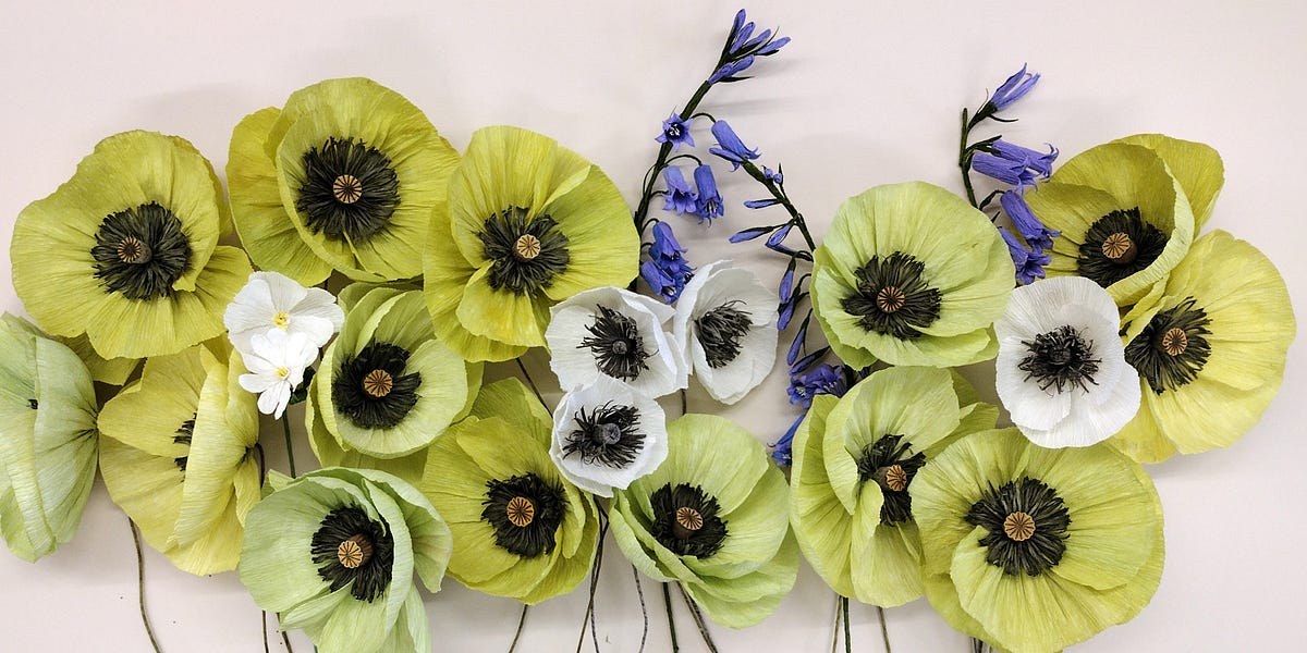 Speaking for the Wildflowers - by Ling Warlow