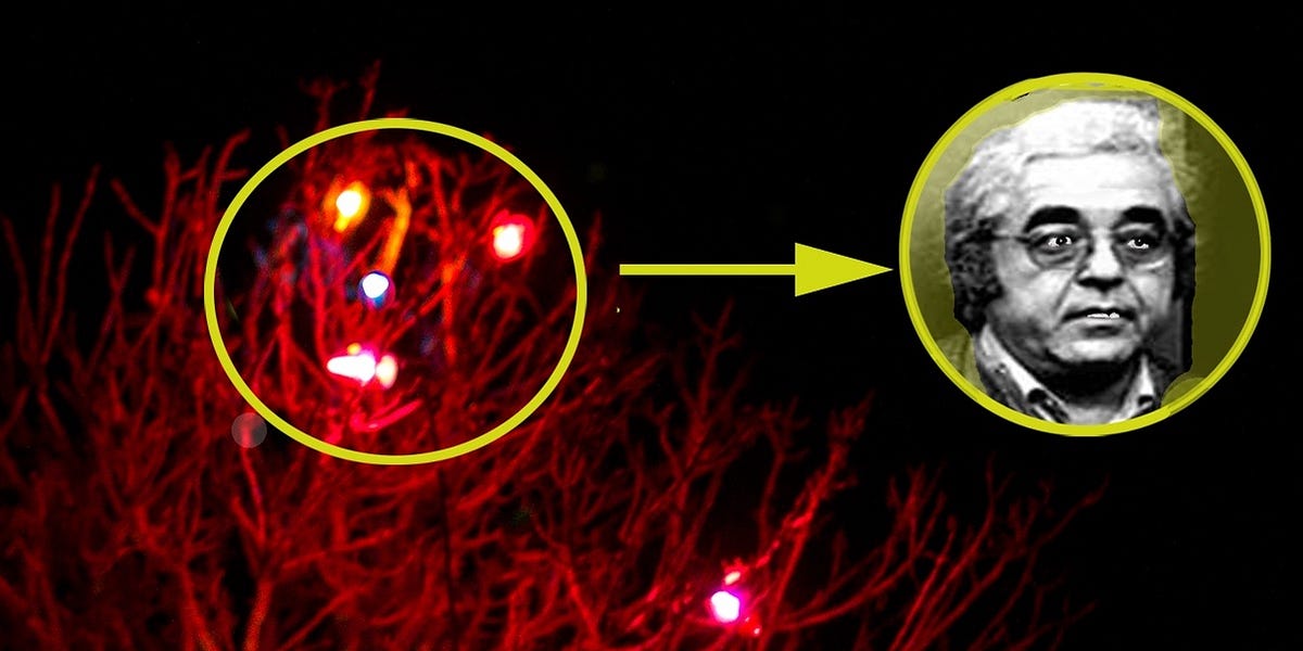 Dylan's Christmas Lights: A Scholarly Treatise