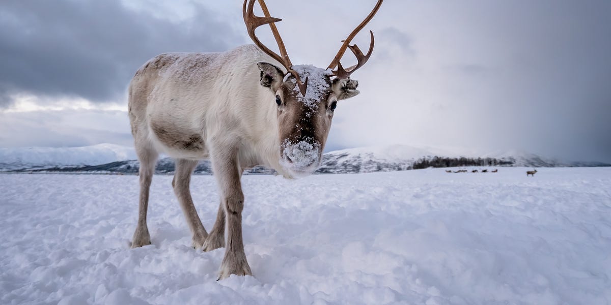 ScienceDaily: All - December 22, 2023