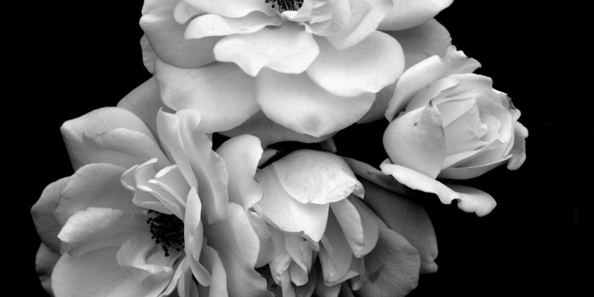 Unlocking the Power of Manifestation - Sarah Prout