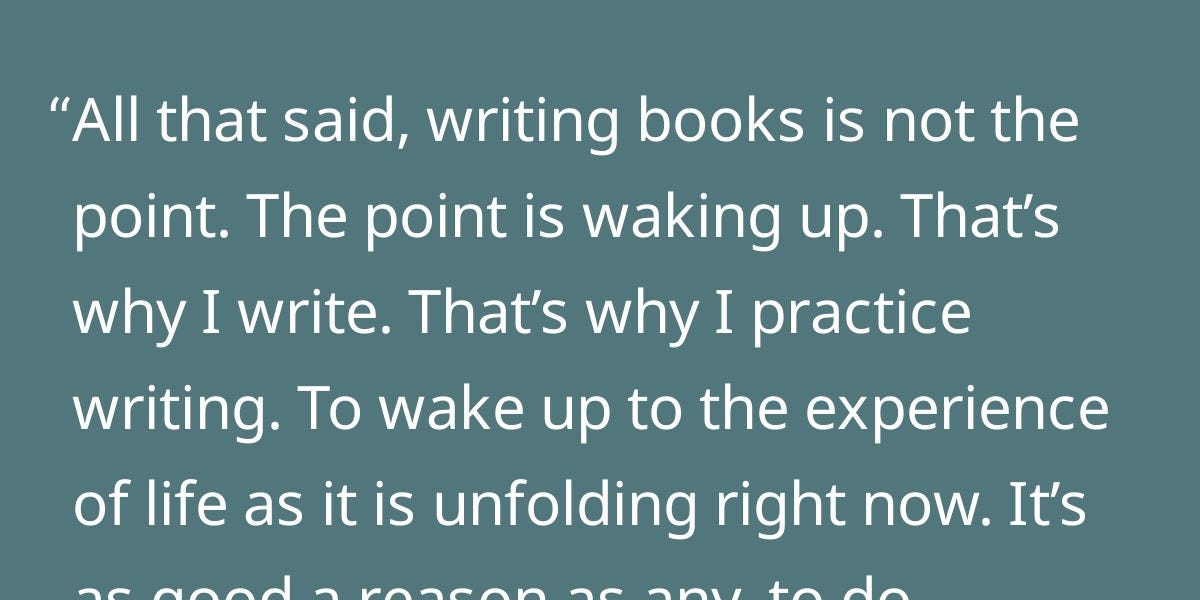 The Not Good Enough Poem