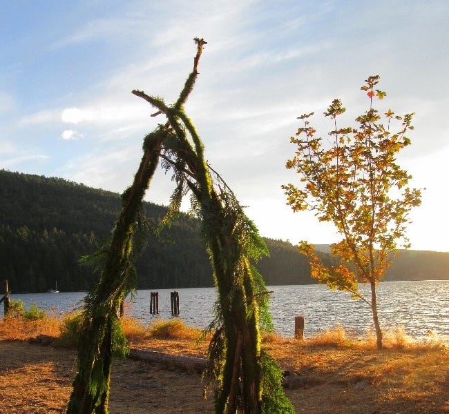 Insight - by Nowick Gray - New World Dreaming