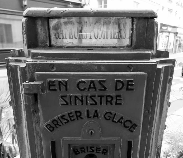 Finding Patterns - by Tara Cheesman - Ex Libris