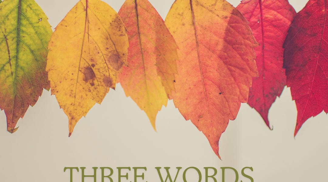 Three words for the season - Janel’s Substack