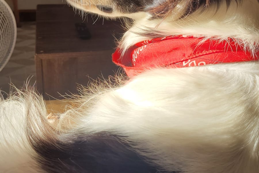 66. Quem mais tem a dizer - by Fernanda Grabauska