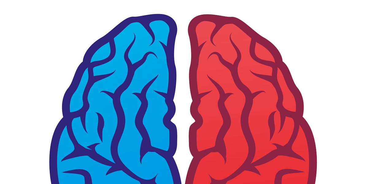 The Political Brain - by Ghaffar Hussain