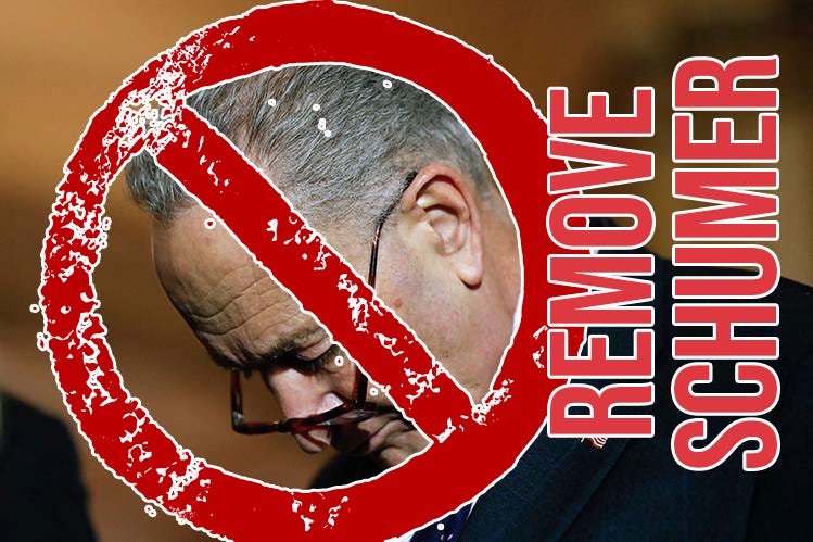 SIGN PETITION: Remove Senator Chuck Schumer as Senate Minority Leader