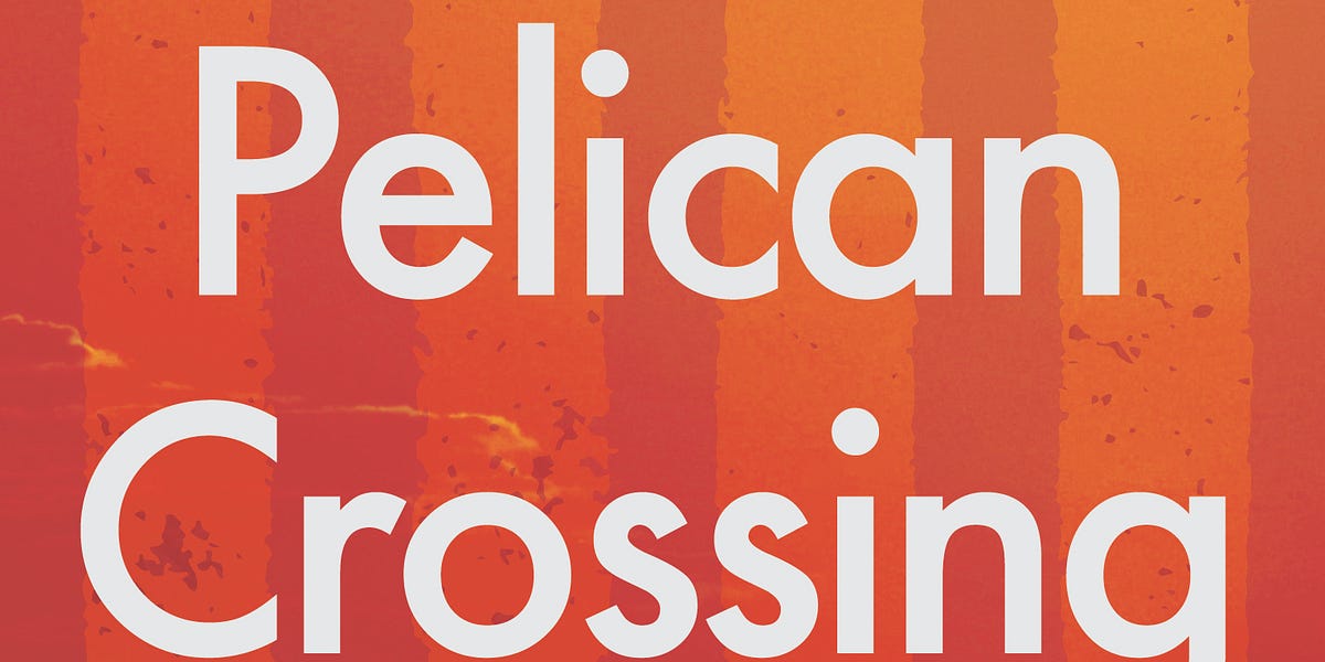 World Adopt A Pelican Day - by Adrian P Conway - Wayward