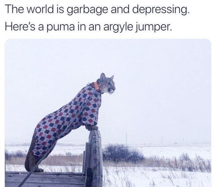 What We Can Know About This Winter - by Cassidy Steele Dale