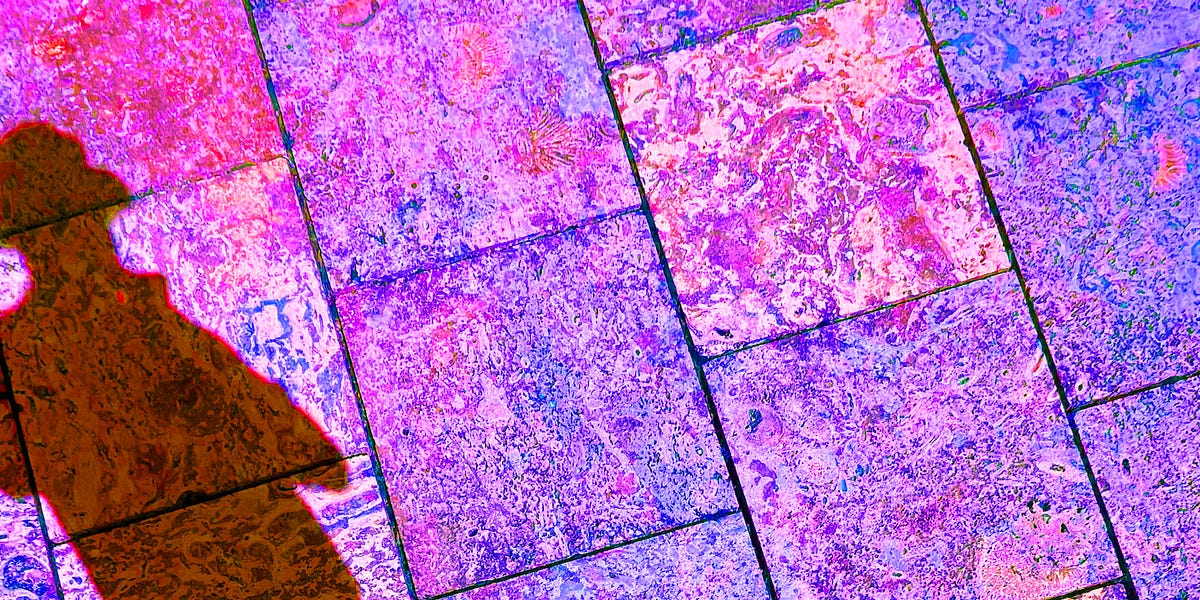 Our Shadow-Past - by Mark Heyer