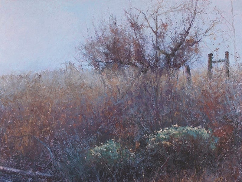 Sabrina Stiles - BoldBrush Collector
